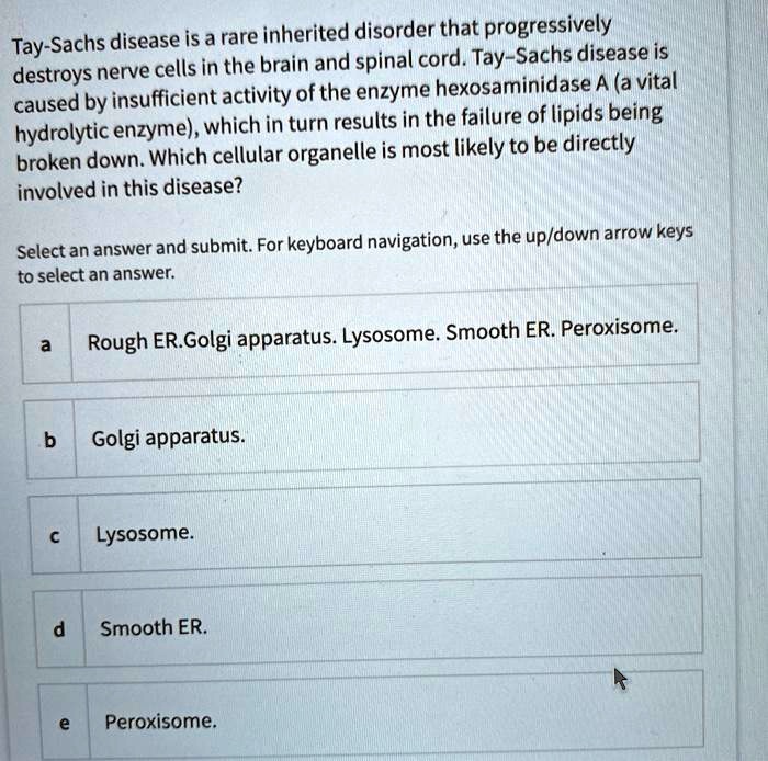 Tay-Sachs disease is a rare inherited disorder that progressively ...