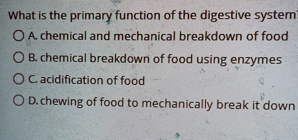 What is the primary function of the digestive system. A. chemical and ...