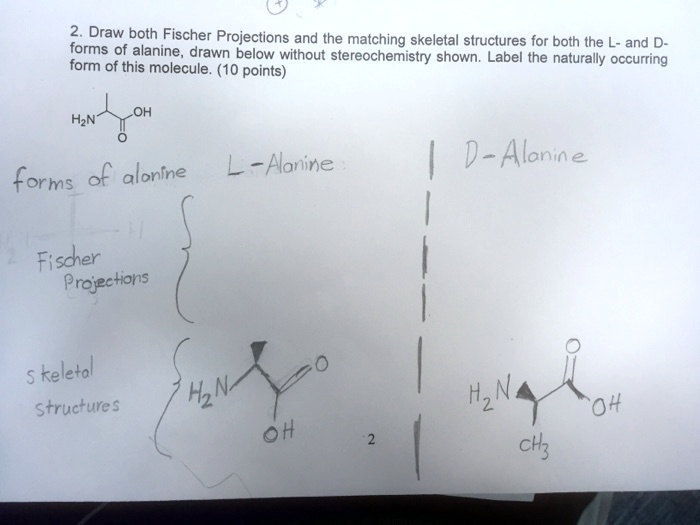 SOLVED: Draw both Fischer Projections and the matching skeletal structures for both the L- and D ...