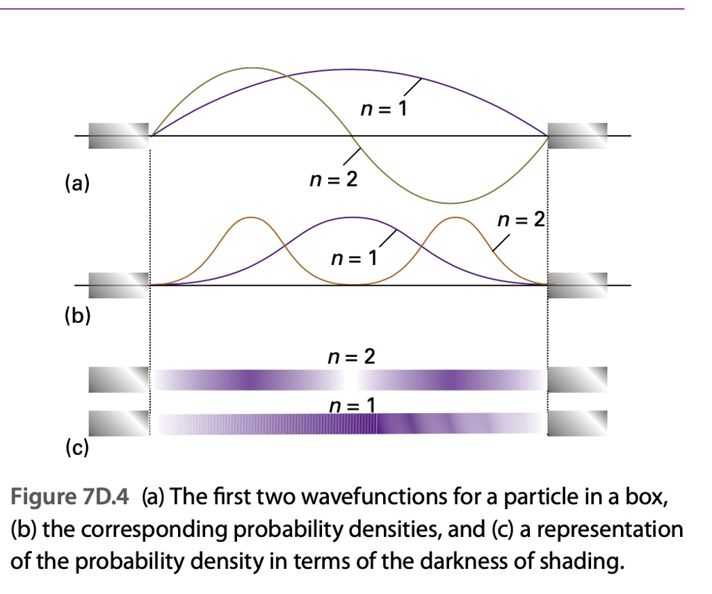 SOLVED:n =1 n =2 (a) n = 2 n =1 (b) n =2 n (c) Figure 7D.4 (a) The first two wavefunctions for a ...
