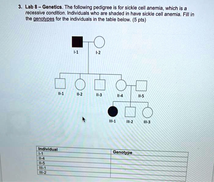 lab 8 genetics the following pedigree is for sickle cell anemia which ...