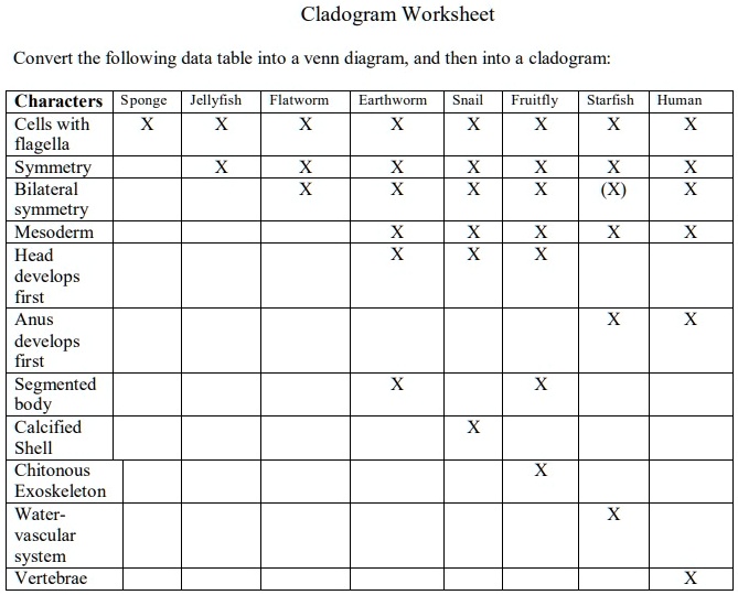 Cladogram Worksheet Convert the following data table into a Venn ...