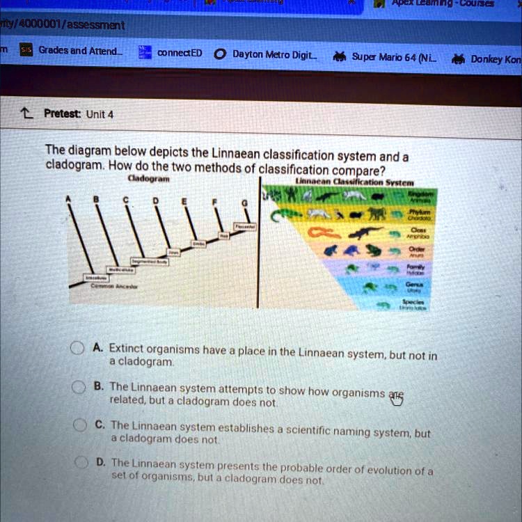 SOLVED: The diagram below depicts the Linnaean classification system and a cladogram. How do the ...