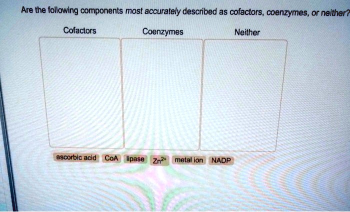 SOLVED: Are the following components most accurately described as ... SOLVED: Are the following components most accurately described as ...