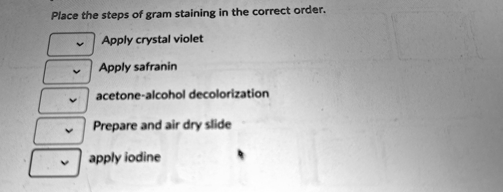 Place the steps of gram staining in the correct order. Apply crystal ...