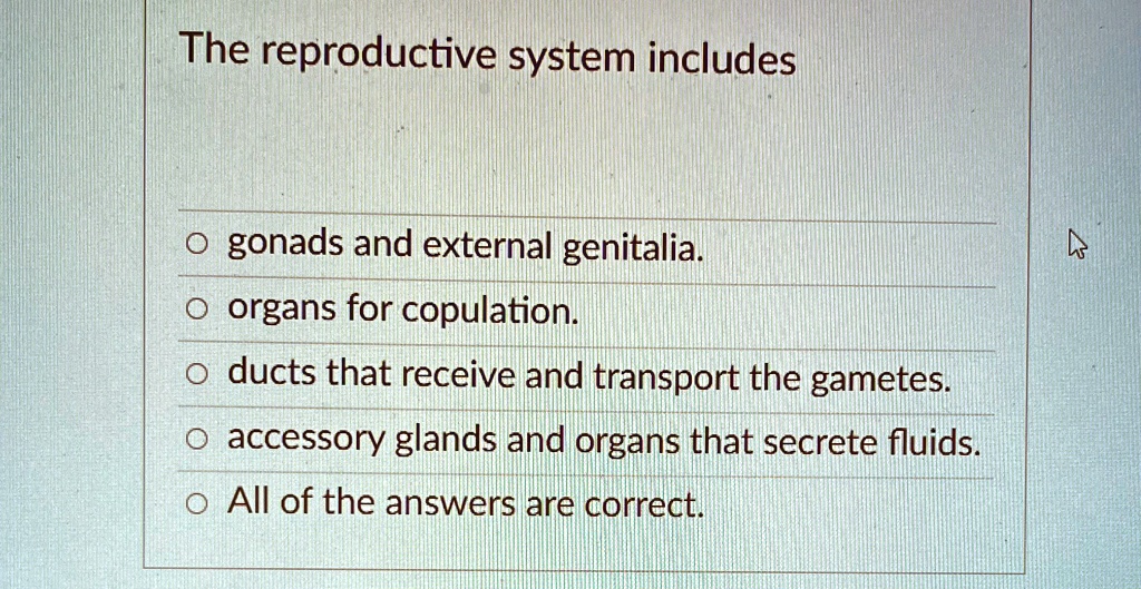 the reproductive system includes o gonads and external genitalia o ...