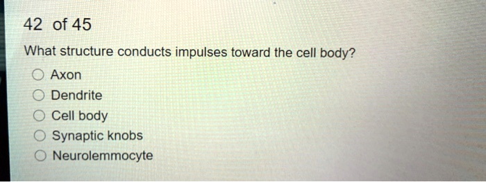 SOLVED: What structure conducts impulses toward the cell body? Axon ...