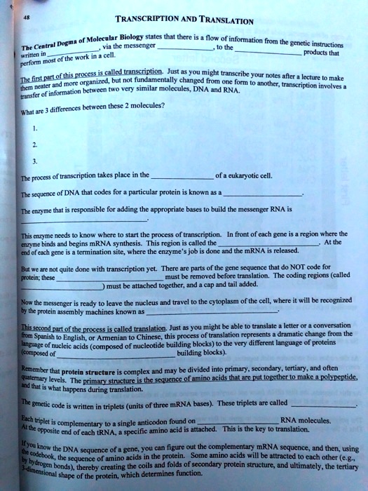 transcription and translation molccular biology states that thcre drema ...