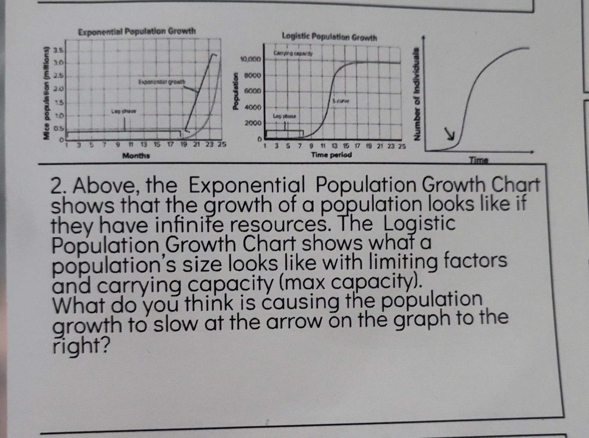 [GET ANSWER] 2. Above, the Exponential Population Growth Chart shows ...