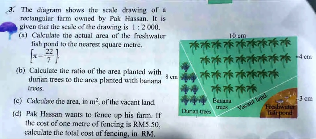 The diagram shows the scale drawing of a rectangular farm owned by Pak ...