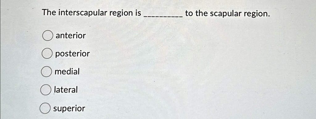 SOLVED: The interscapular region is to the scapular region anterior or ...