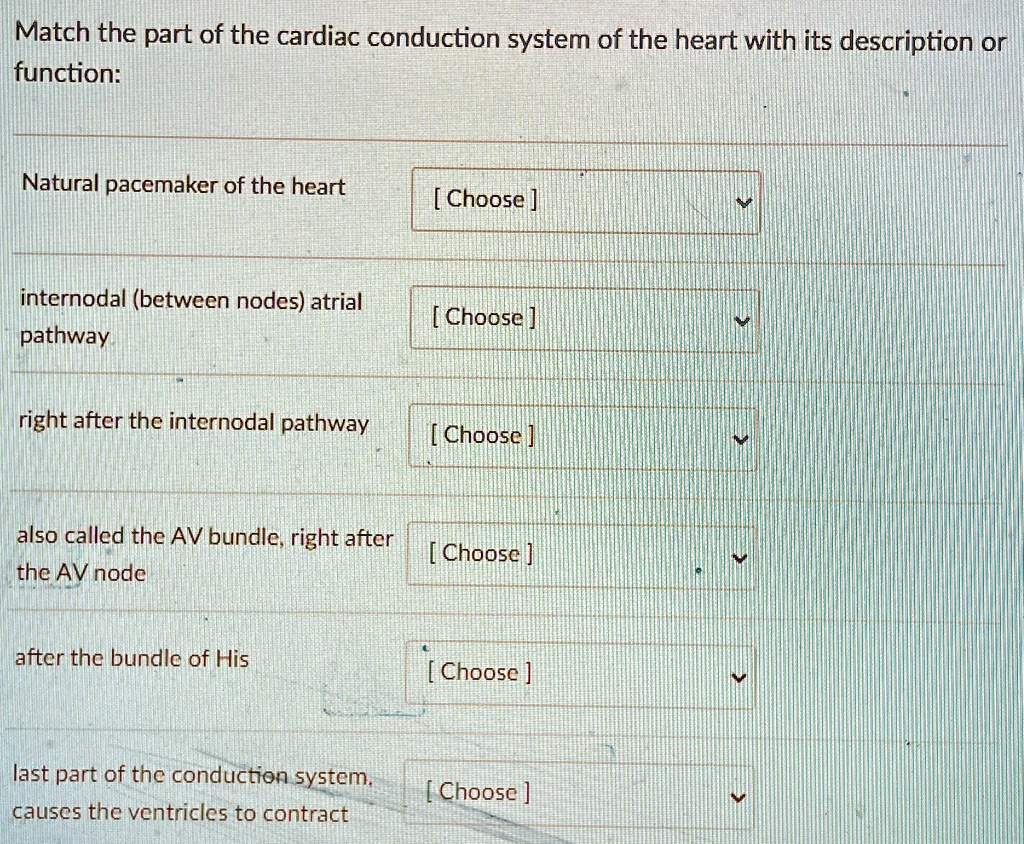 Match the part of the cardiac conduction system of the heart with its description or function ...