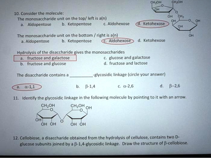 SOLVED: CH-OH CHOH 10. Consider the molecule: The monosaccharide unit ...