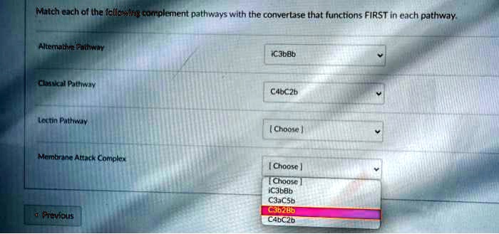 SOLVED: Texts: Match each of the following complement pathways with the convertase that ...