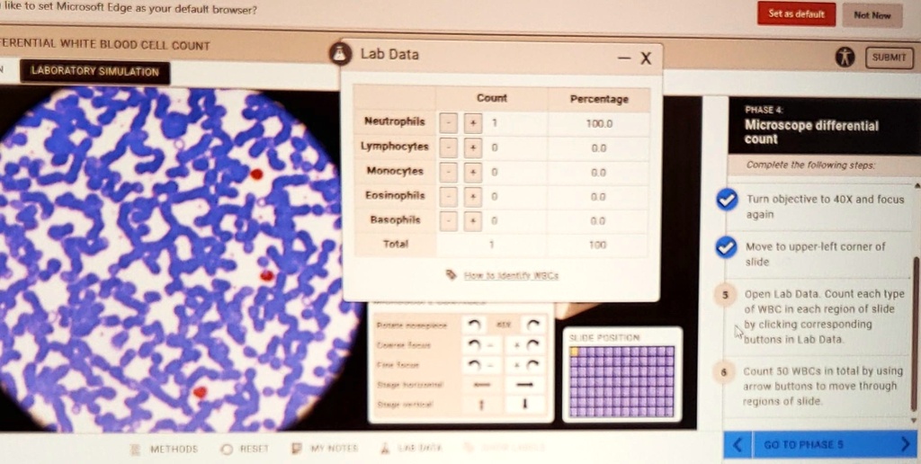 SOLVED: Identify the white blood cells Would you like to set Microsoft Edge as your default ...