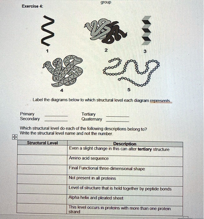 SOLVED: Exercise 4: You are required to label the diagrams below to ... SOLVED: Exercise 4: You are required to label the diagrams below to ...