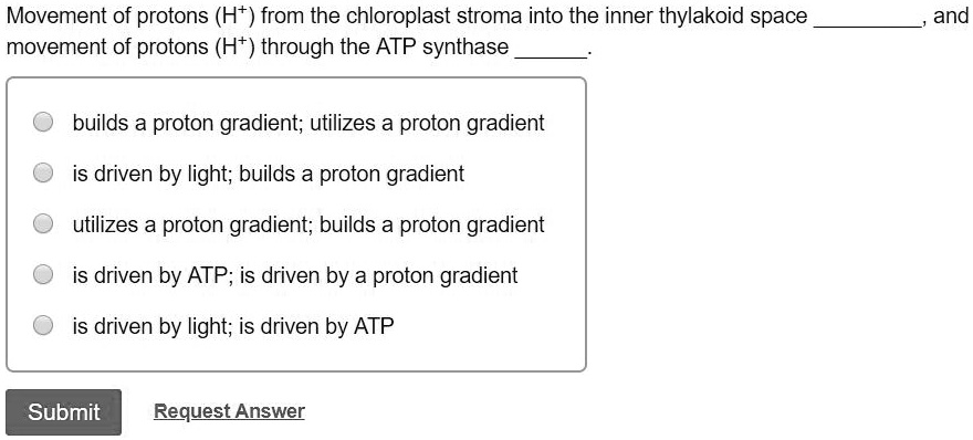 SOLVED: Movement of protons (H+) from the chloroplast stroma into the inner thylakoid space ...
