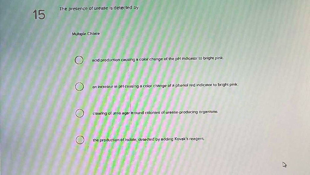 SOLVED: The presence of urease is detected by: - Multiple Choice - Acid ...
