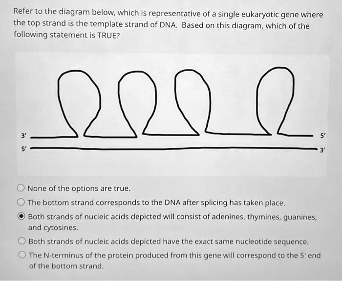 SOLVED: Refer to the diagram below,which is representative of a single ...