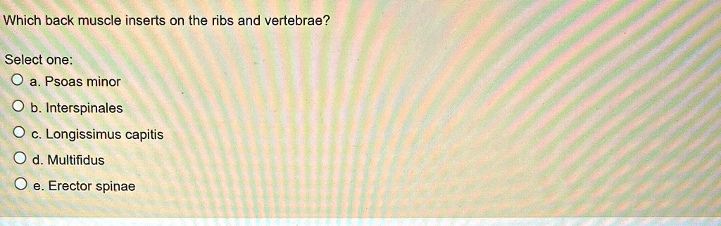 Which back muscle inserts on the ribs and vertebrae? Select one: a ...