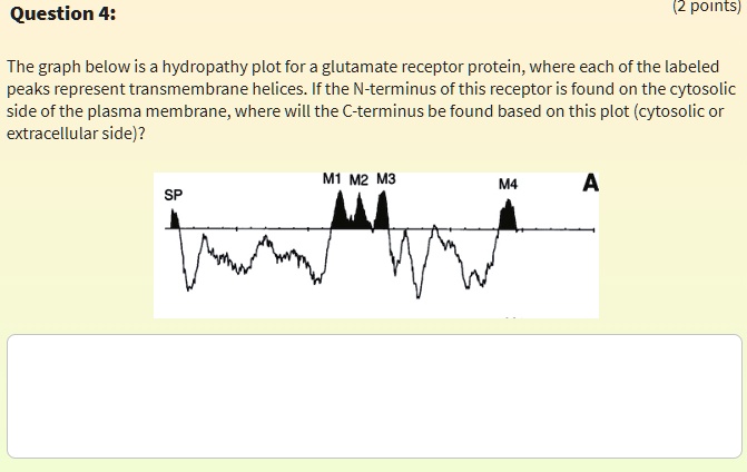 question 4 points the graph below is hydropathy plot for glutamate ...