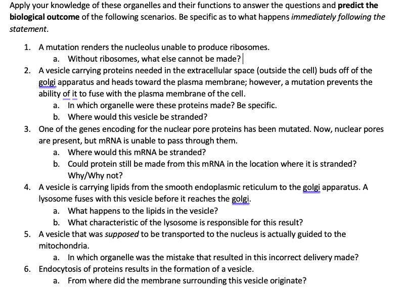 Apply your knowledge of these organelles and their functions to answer ...