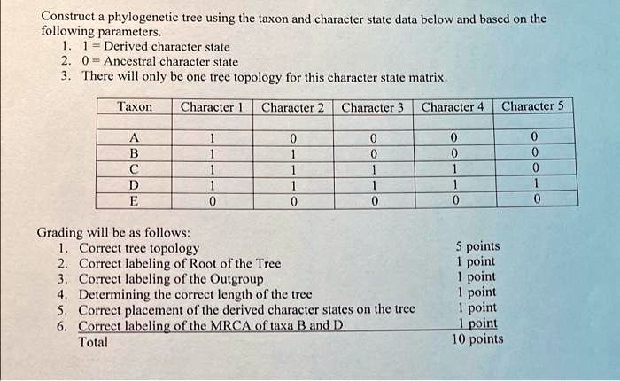 SOLVED: Construct a phylogenetic tree using the taxon and character state data below and based ...