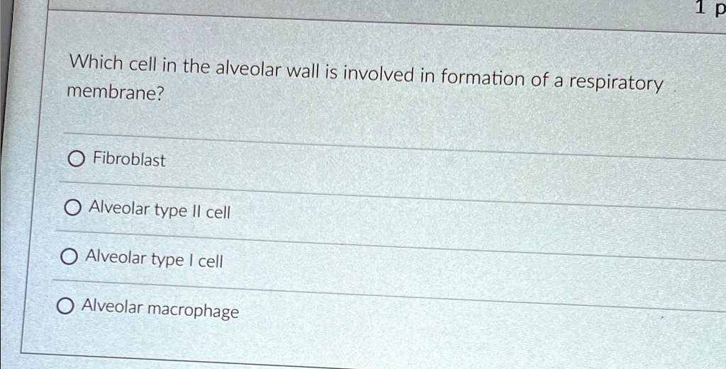 Which cell in the alveolar wall is involved in formation of a ...