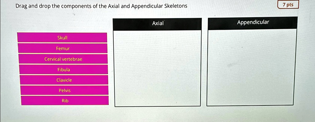Drag and drop the components of the Axial and Appendicular Skeletons 7 ...