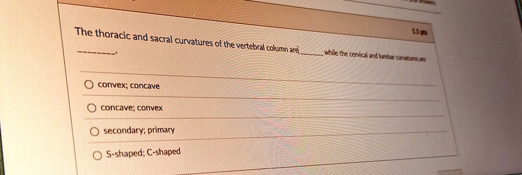 the thoracic and sacral curvatures of the vertebral column are while ...