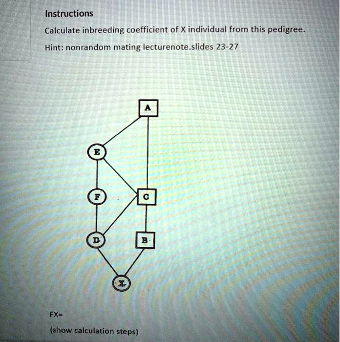 SOLVED: Instructions: Calculate the inbreeding coefficient of ...