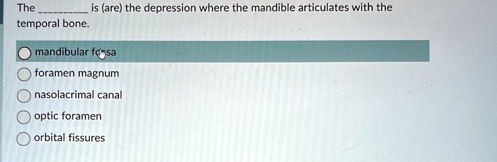 The is (are) the depression where the mandible articulates with the ...