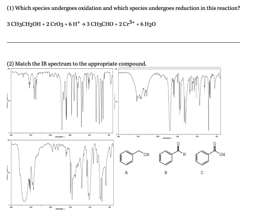 SOLVED: (1) Which species undergoes oxidation and which species ...