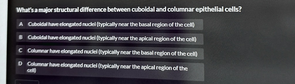 whats a major structural difference between cuboidal and columnar ...