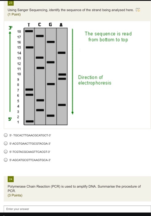 using sanger sequencing identify the sequence of the strand being ...