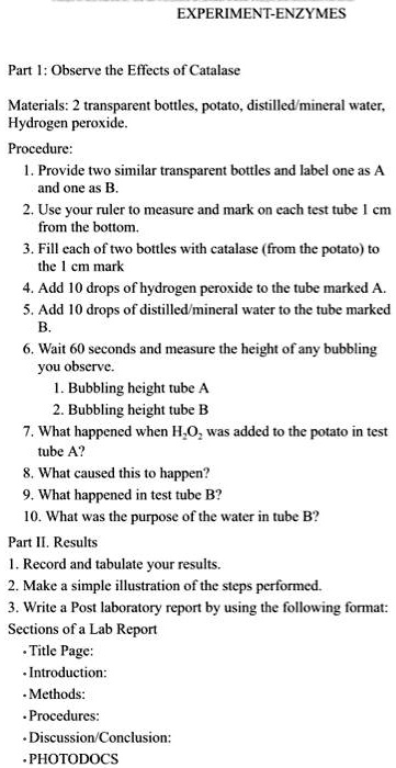 SOLVED: EXPERIMENT-ENZYMES Part I: Observe the Effects of Catalase ...