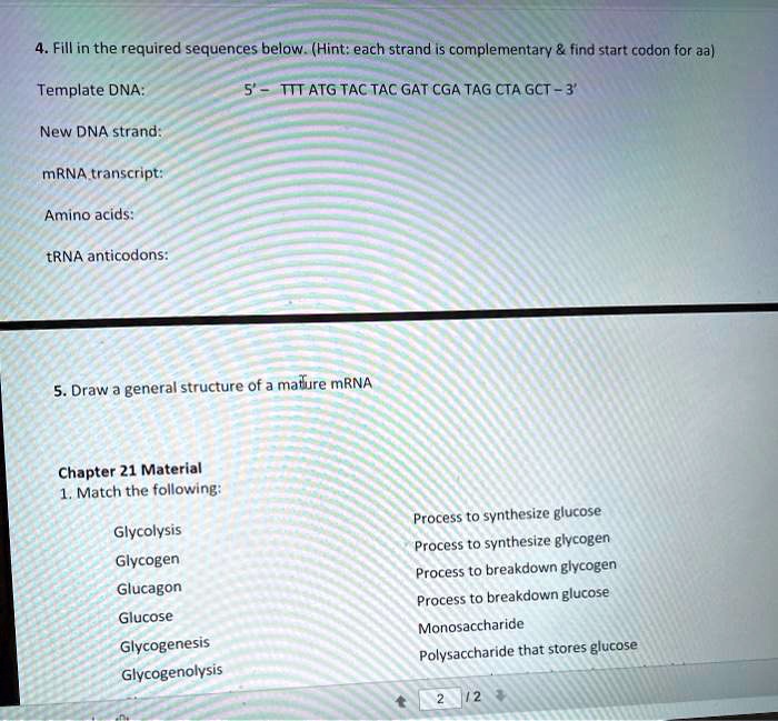 SOLVED:4. Fill in the required sequences below: (Hint: each strand ...