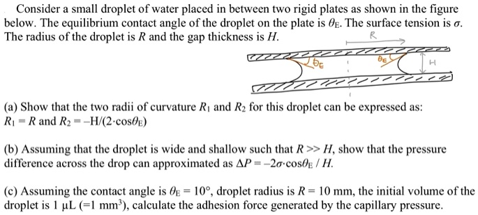 Consider a small droplet of water placed in between two rigid plates as ...
