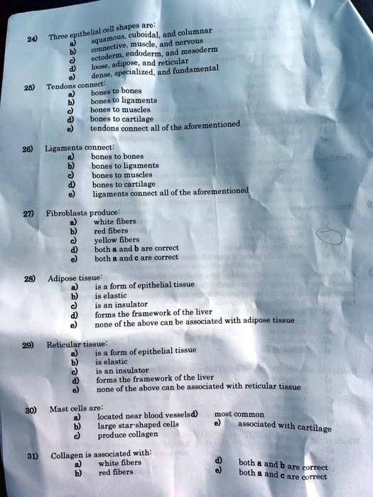 cell chapes are epithelial cuboidal and columnar tarec unmou muac ...