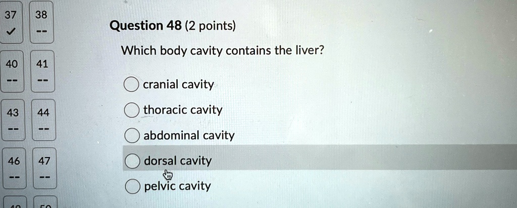 Question 48 (2 points) Which body cavity contains the liver? cranial ...