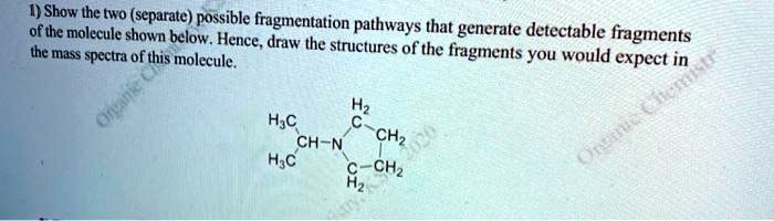 Show the two separate possible fragmentation pathways that generate ...