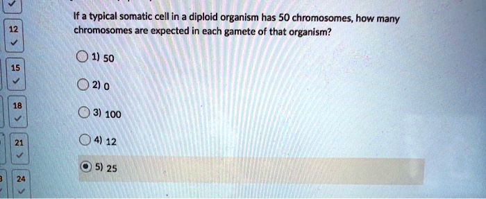 if a typical somatic cell in diploid organism has 50 chromosomes how ...