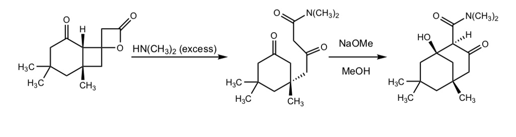 SOLVED: N(CH3)2 N(CH3)2 "H HO NaOMe HN(CH3)2 (excess) H3C - H3C MeOH ...