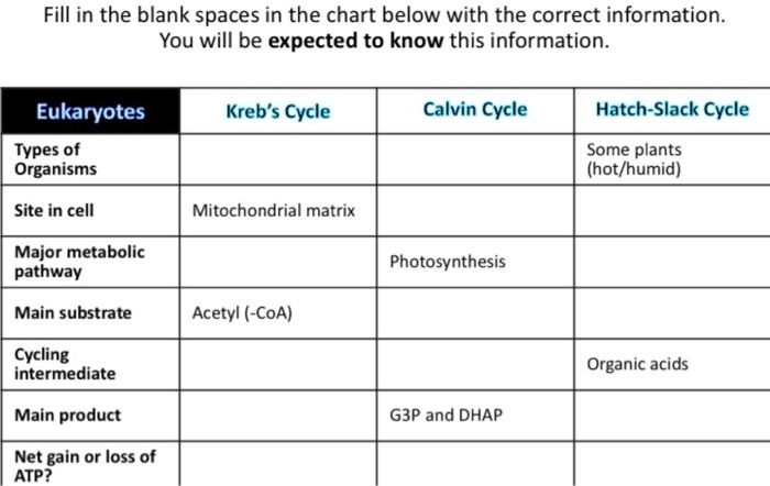 SOLVED:Fill in the blank spaces in the chart below with the correct ...