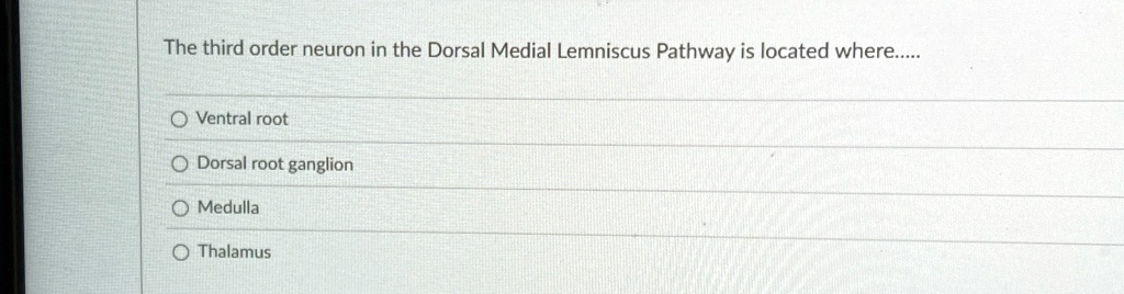 The third order neuron in the Dorsal Medial Lemniscus Pathway is ...