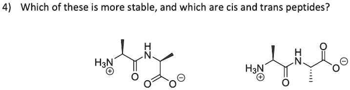 4) Which of these is more stable, and which are cis and trans peptides?
