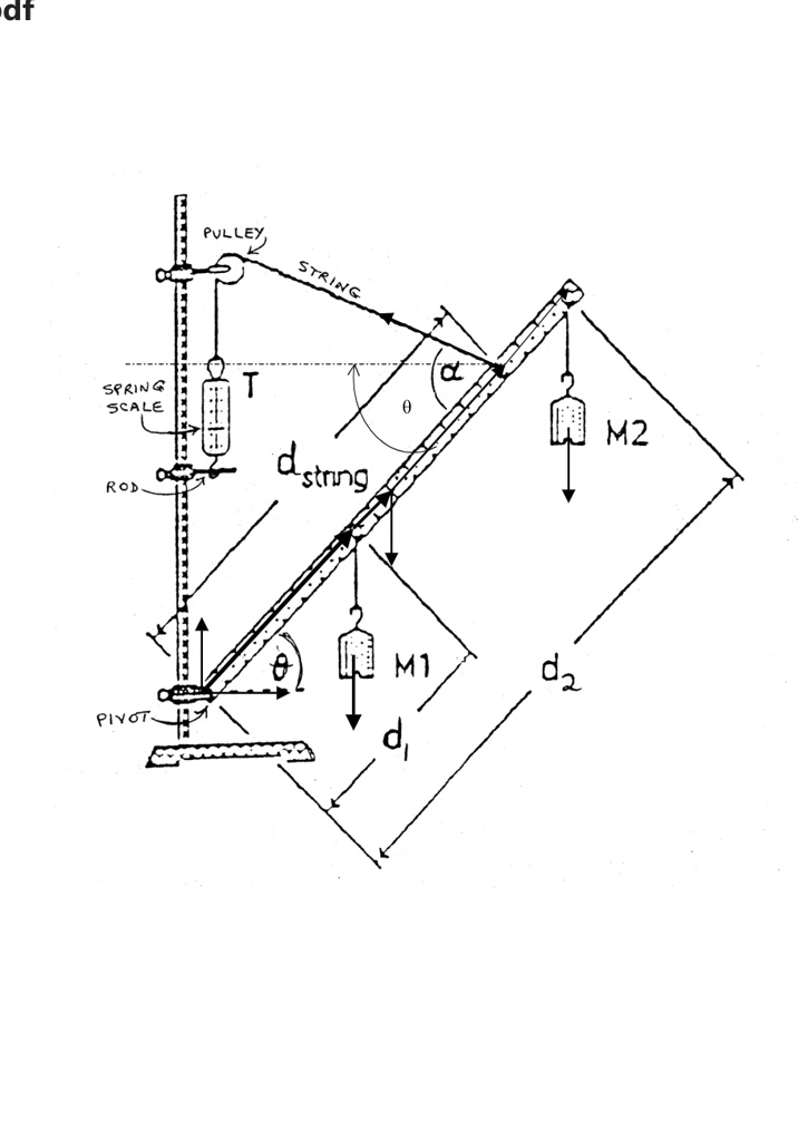 SOLVED: Find the magnitude of tension in the string (or spring scale ...