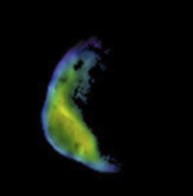 phobos one of marss two moons pictured below in quarter phase makes an ...