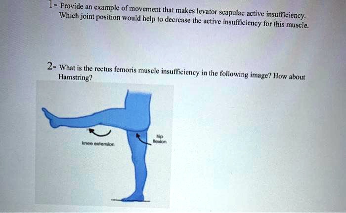 SOLVED: #1 and #2 please with explanations -Provide an example of ...
