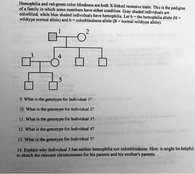 Red Green Color Blindness Pedigree